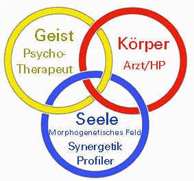 Synergetik Profiler