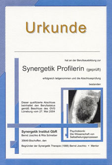 Synergetik Profiler
